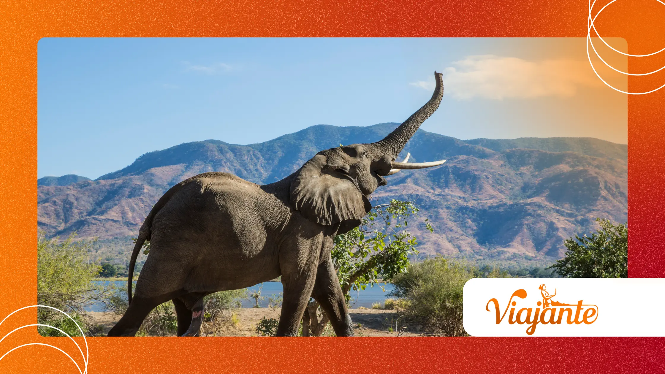 Uncovering the Secret Language of Elephant Communication