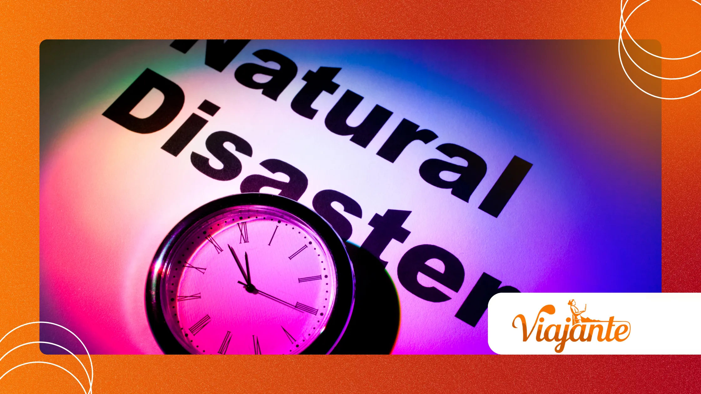 The Unusual Ways Animals Prepare for Natural Disasters